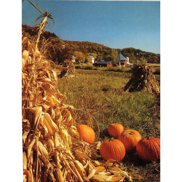 None and/or Unknown | Other | Autumn Fall Pumpkin Harvest Season 97s ...